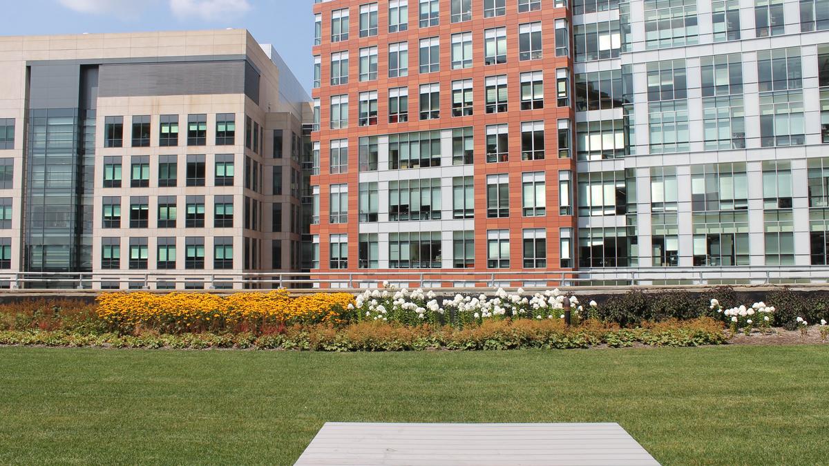 Take a tour of Google's expanded Cambridge offices - Boston Business ...