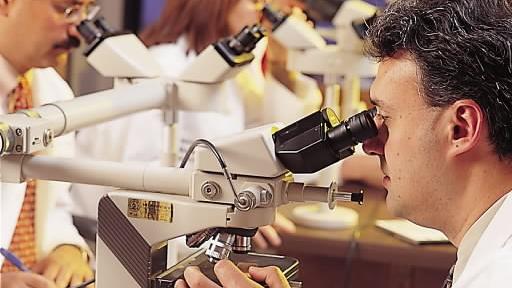 LabCorp blood analysis facility signs big renewal deal in Westshore ...