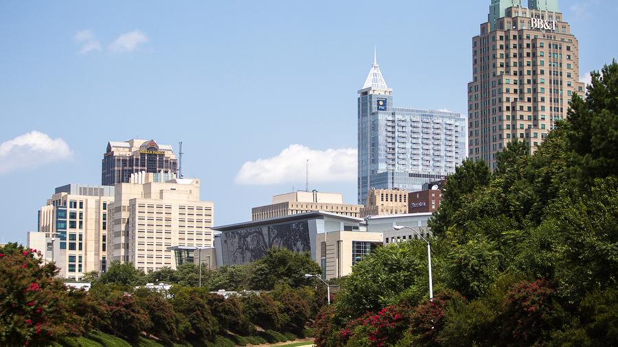Panel: How to attract the next Infosys to the Raleigh-Durham area ...