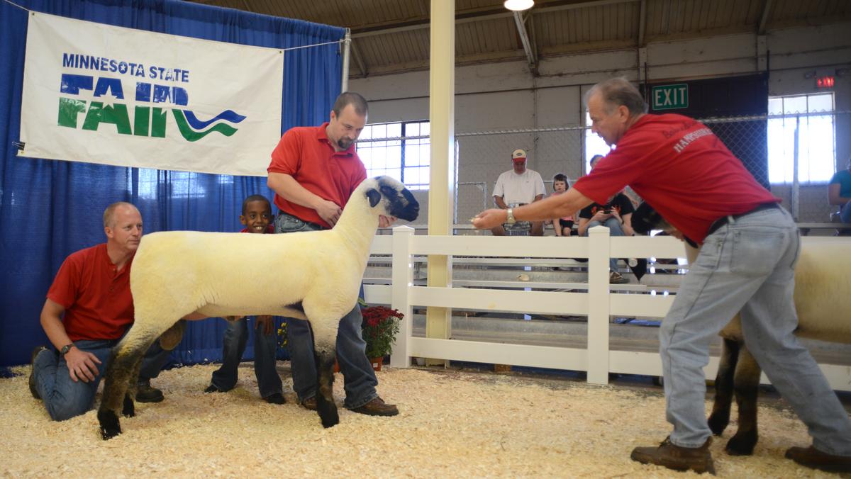 Minnesota State Fair sets all-time attendance record - Minneapolis / St ...