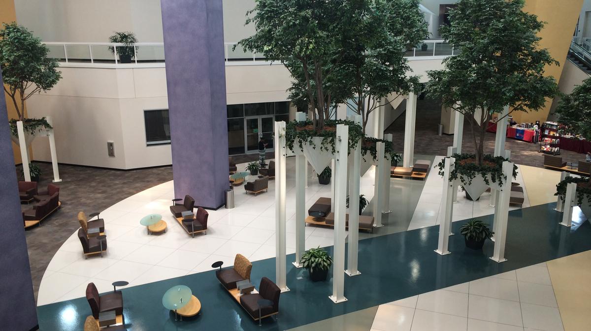 Exclusive: Netpark kicks off multimillion-dollar facelift - Tampa Bay ...