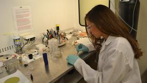 Seven interesting startups in this year's MIT accelerator program ...