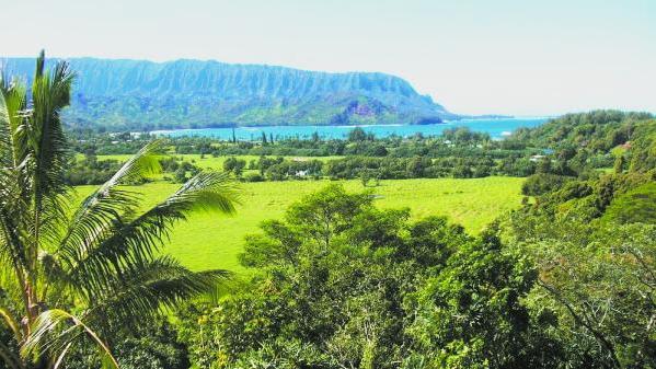 Hawaii developer Jeff Stone says $500M Princeville redevelopment ...