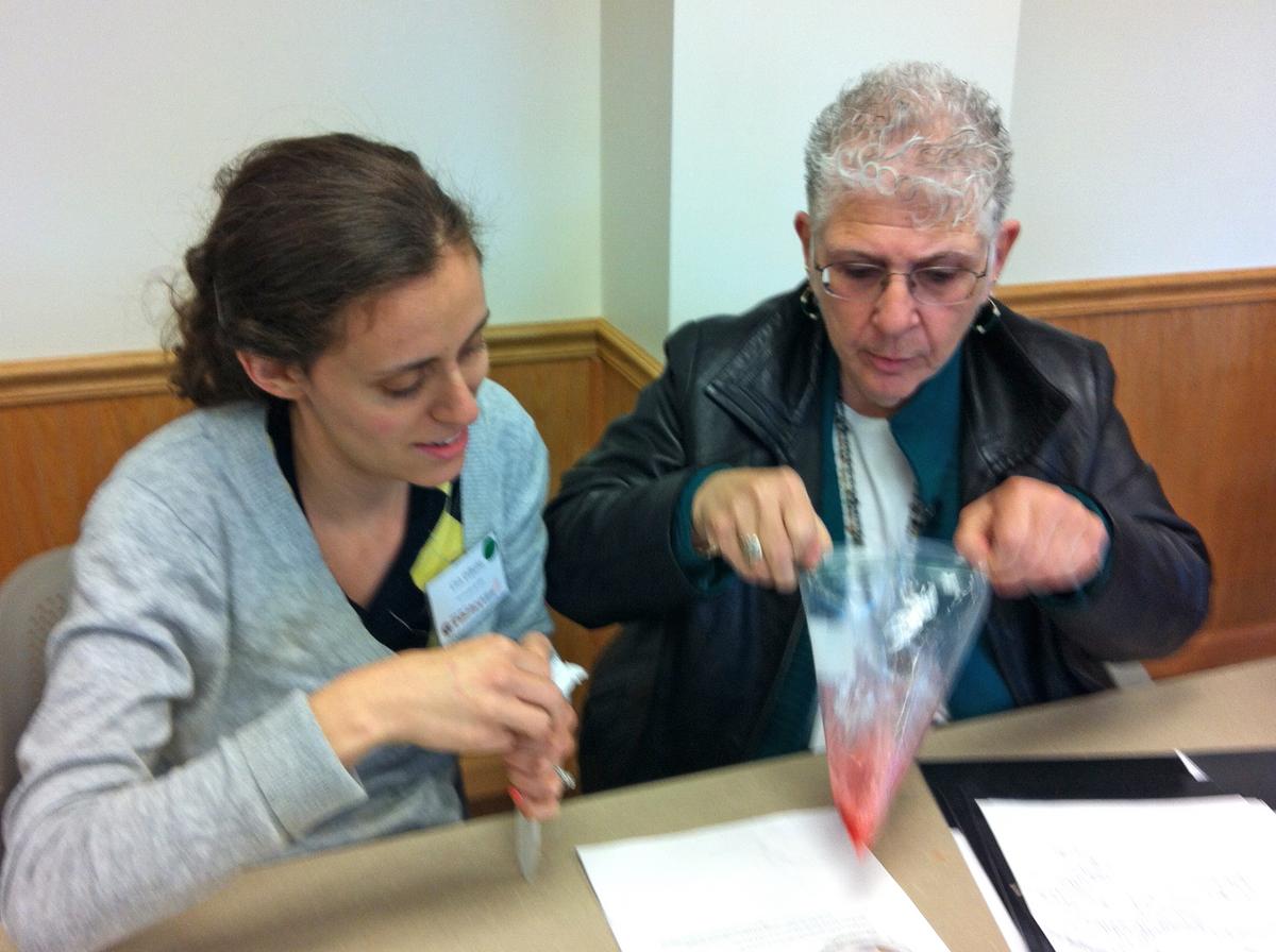 Tech Valley High School training event attracts 100 NY educators ...