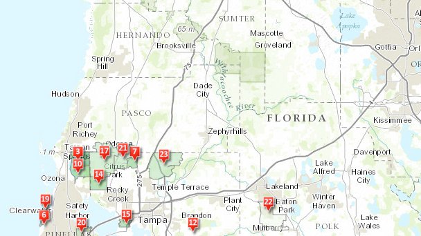 Tampa Zip Code New Tampa, Tampa FL Neighborhood Guide | Trulia