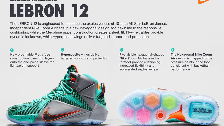 Lebron 12 Sample