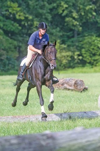 How Steuart Pittman Jr. rallies for retired thoroughbreds - Baltimore ...