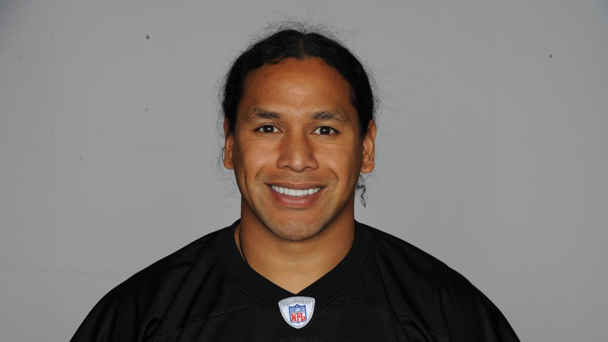 Former Pittsburgh Steeler Troy Polamalu to be inducted into NFL Hall of ...