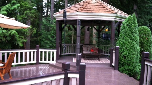 Patti Payne's Cool Pads: Enchanting sanctuary in the woods features ...