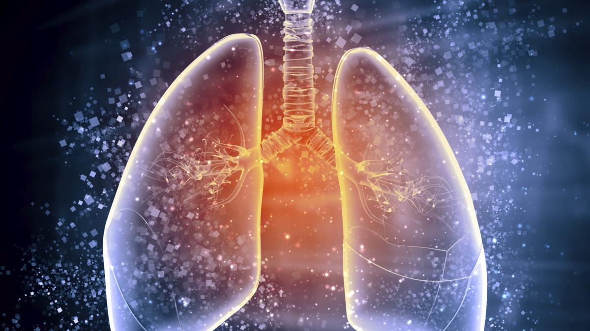 A UMB startup is developing a portable artificial lung - Baltimore ...