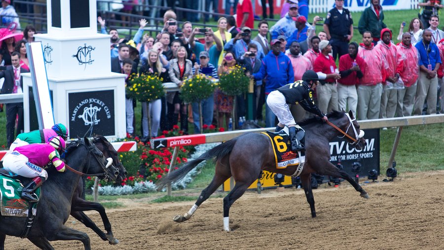 Preakness ticket sales up 15 percent - Baltimore Business Journal