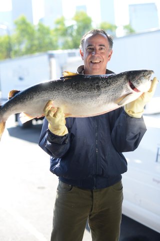 St. Louis Park-based The Fish Guys launch a wholesale meat division ...