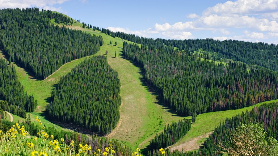 Vail Resorts reveals when it might be able to reopen ski areas for ...