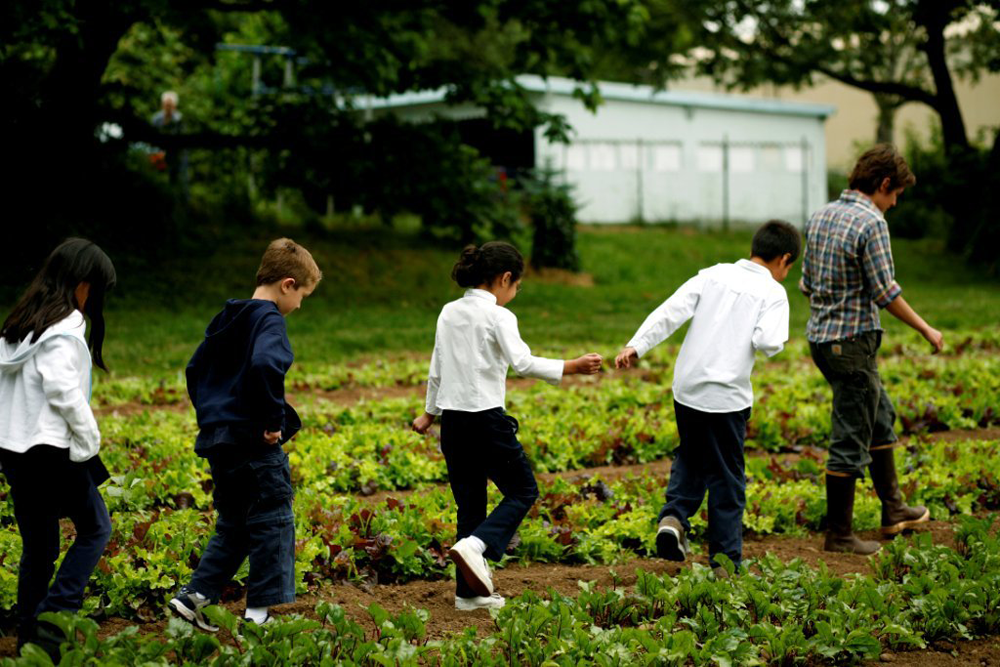 A closer look at Zenger Farm's 'Urban Grange' - Portland Business Journal