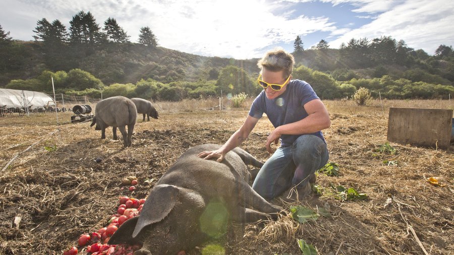 Root Down Farms in Pescadero