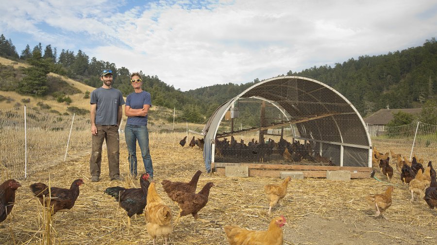 Root Down Farms in Pescadero