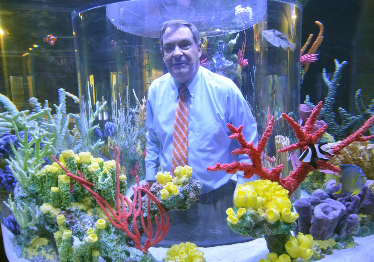 South Florida Science Center's new look, exhibits -- slideshow - South ...