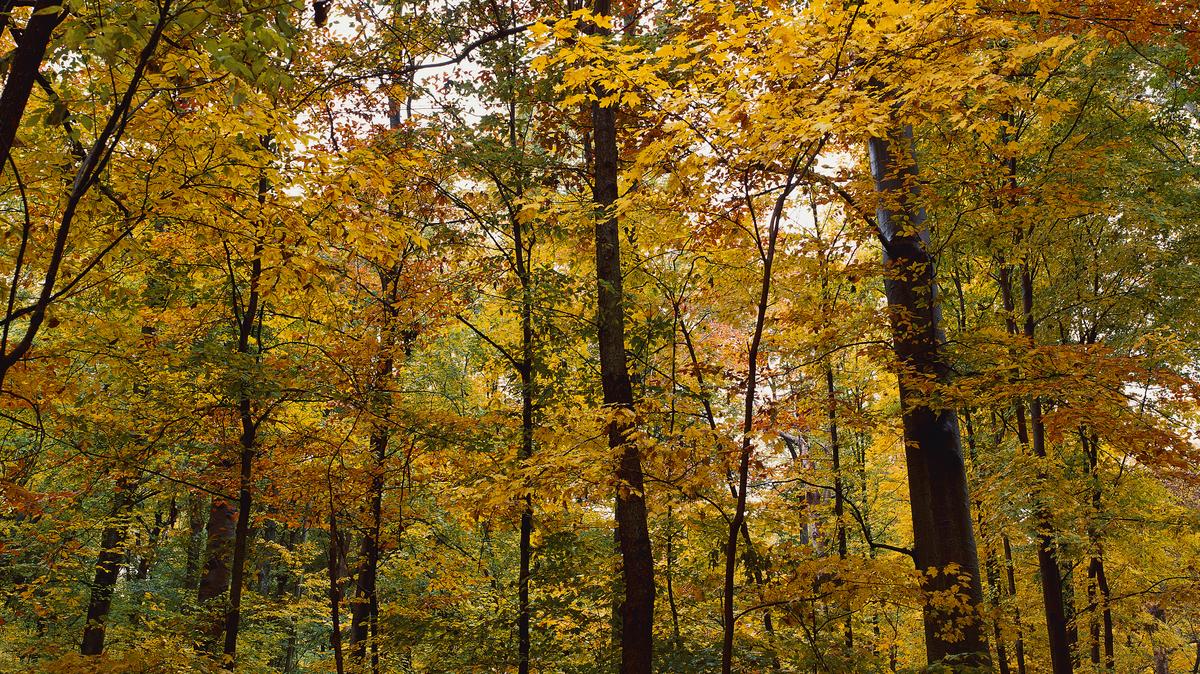 CatchMark expands credit facilities to $410 Million - Atlanta Business ...