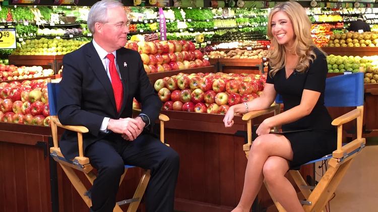 Sara Eisen Bloomberg Skirt