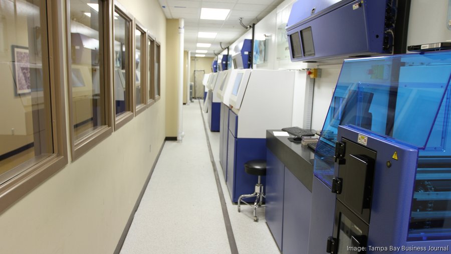 Moffitt Cancer Center's startup names new CEO - Tampa Bay Business Journal