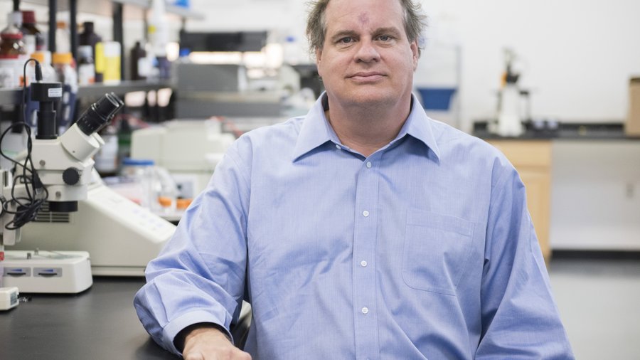 In quest to whip cancer, XBiotech shares plummet after it reports ...