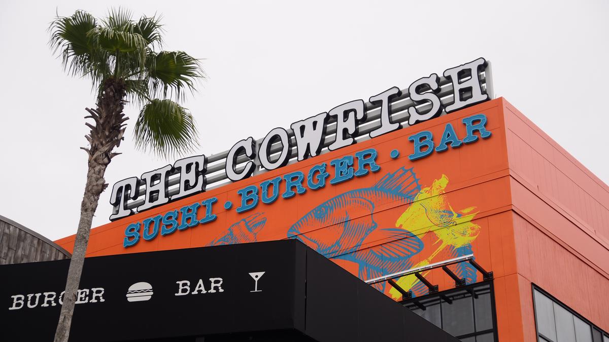 Burgushi bonanza: Cowfish fusion arrives at CityWalk - Orlando Business ...