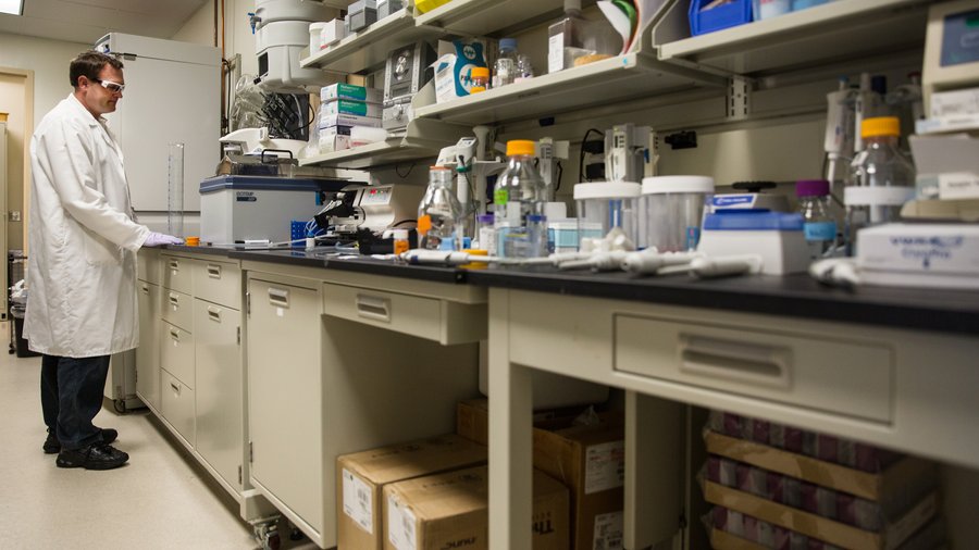 Medical College, Wangard, WiRED, Weas finalists for $50M state crime ...