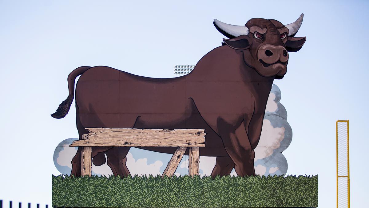 Bull Durham Beer Co. registers with Capitol Broadcasting Co ...