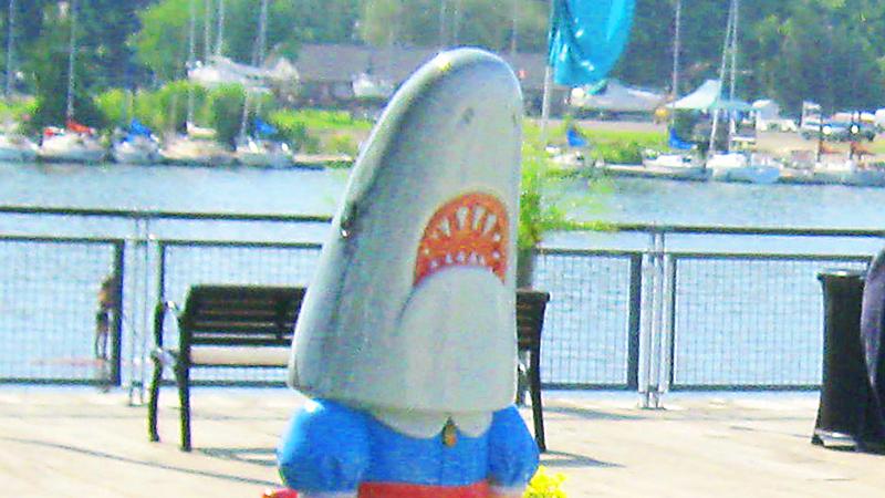 Buffalo's 'Shark Girl' going for makeover - Buffalo Business First