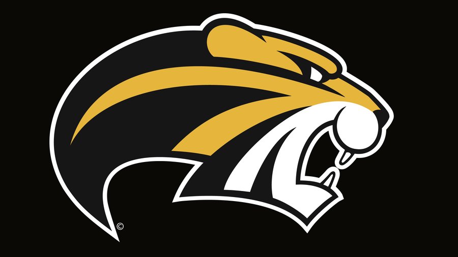 Brenau University Logo