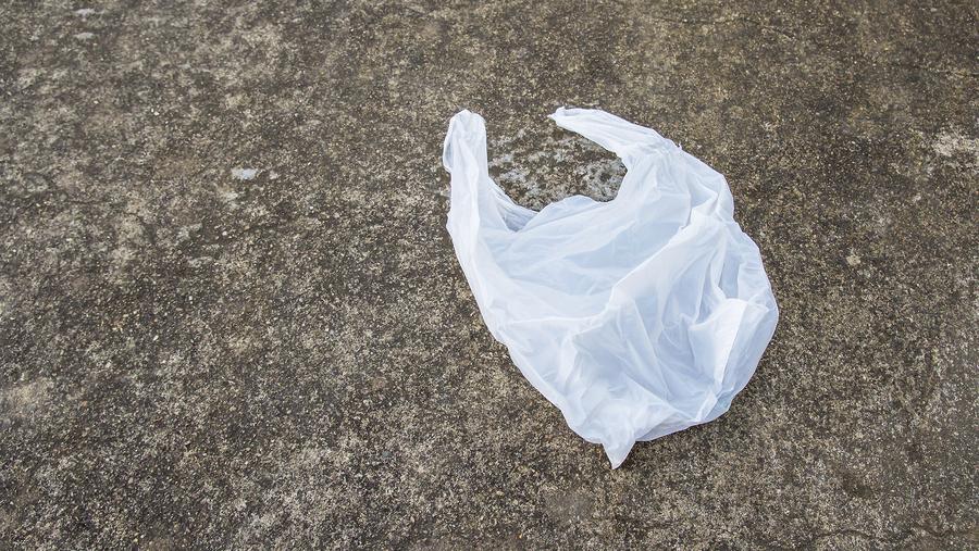 Business Pulse Poll: Now that Austin has dropped its bag ban, do you ...