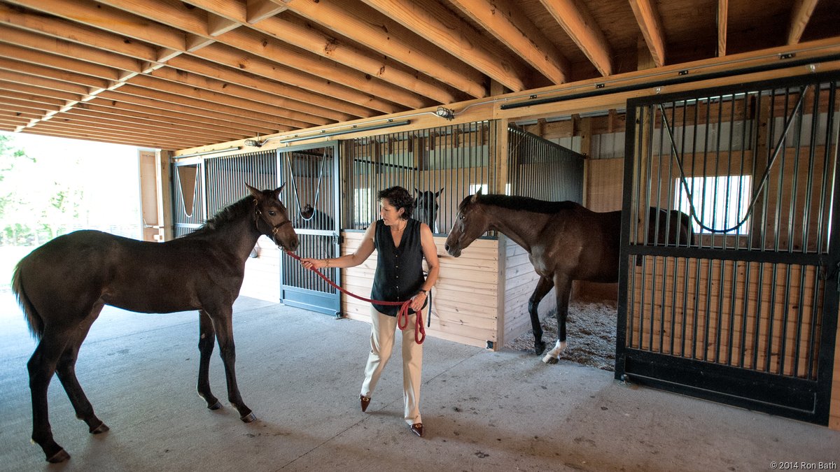 Susan Weiss saw the future of the Internet and built a company around ...