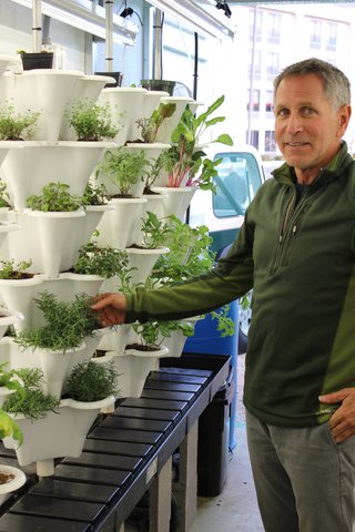 Roy Solomon's unique new development blooms in growing Cutler Ave ...