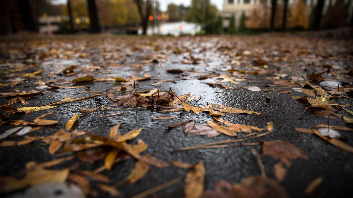 November rains dampen the Thanksgiving holiday in the Triangle ...