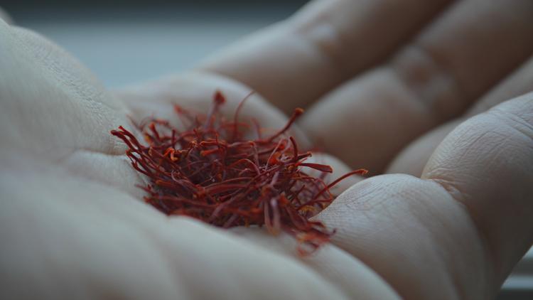 Harvard students help rebuild Afghanistan with one ingredient: Saffron ...