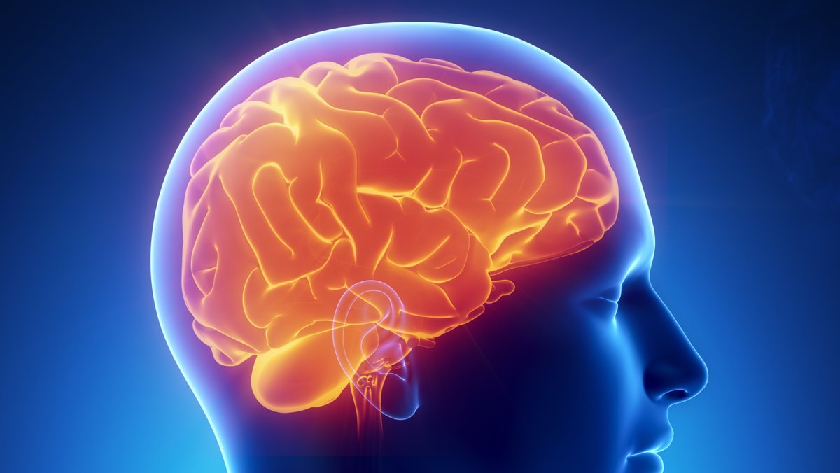 Richmond Inno - Richmond's BrainBox Solutions raises Series B round led ...