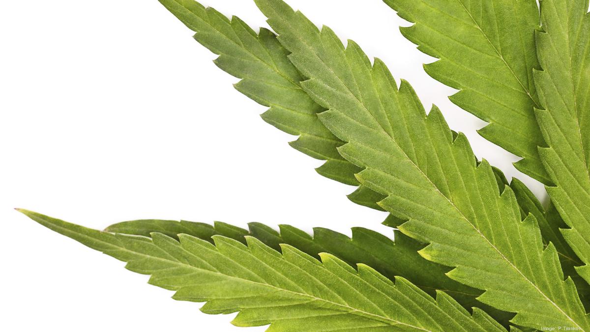 8 additional farms approved for weed - Buffalo Business First