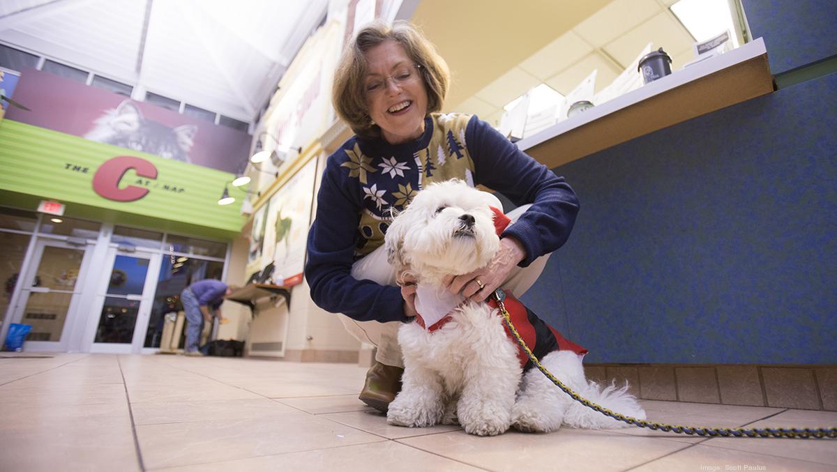 Wisconsin Humane Society sees more than $1M shortfall in 2020 earned ...