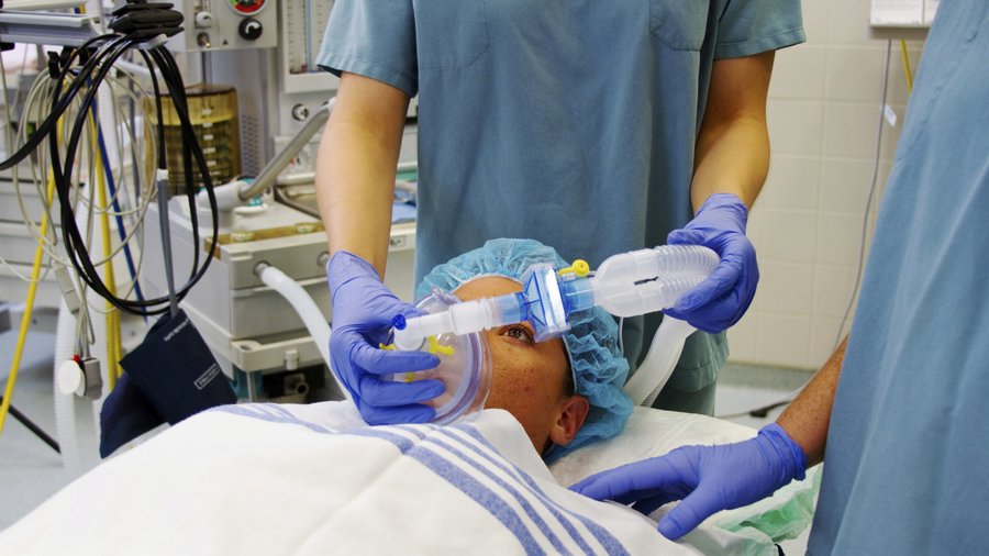 Johns Hopkins School of Nursing adds degree program for lucrative nurse ...