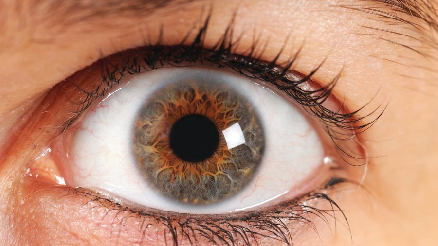 Graybug Vision raises $90 million in upsized IPO - Silicon Valley ...