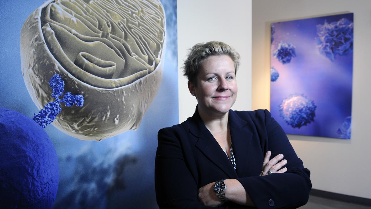 Zions Bancorporation sues StemExpress, founder Cate Dyer - Sacramento ...