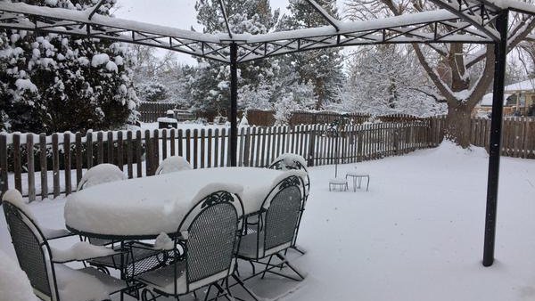 Snow day at work or home: Here are your photos (Slideshow) - Denver ...