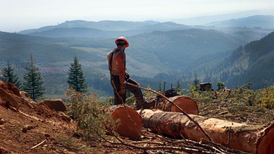 LogJam Logging in Oregon