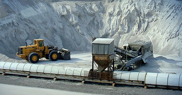 North American Salt Lyons