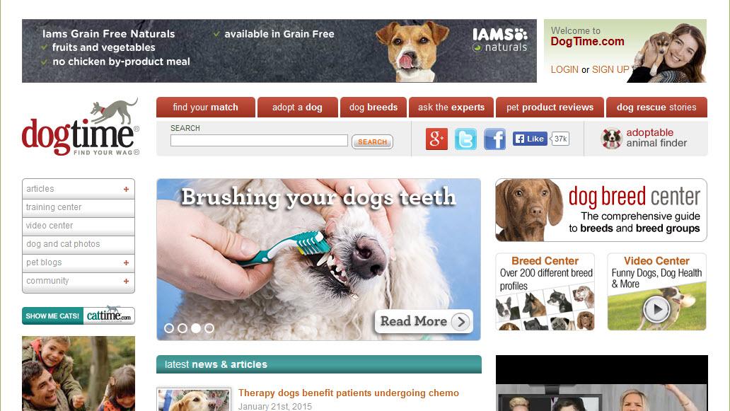 Evolve Media acquires Dogtime Media, will add it to TotallyHer Media ...