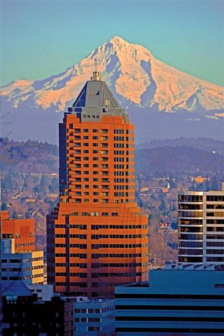 KOINMountain