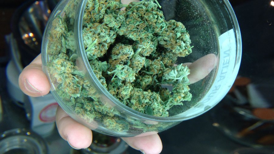 Miami-Dade County staff report predicts $124M local medical marijuana ...