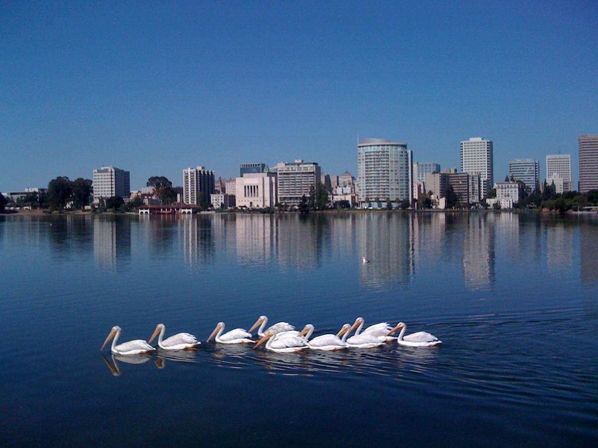 Lake Merritt Skyline