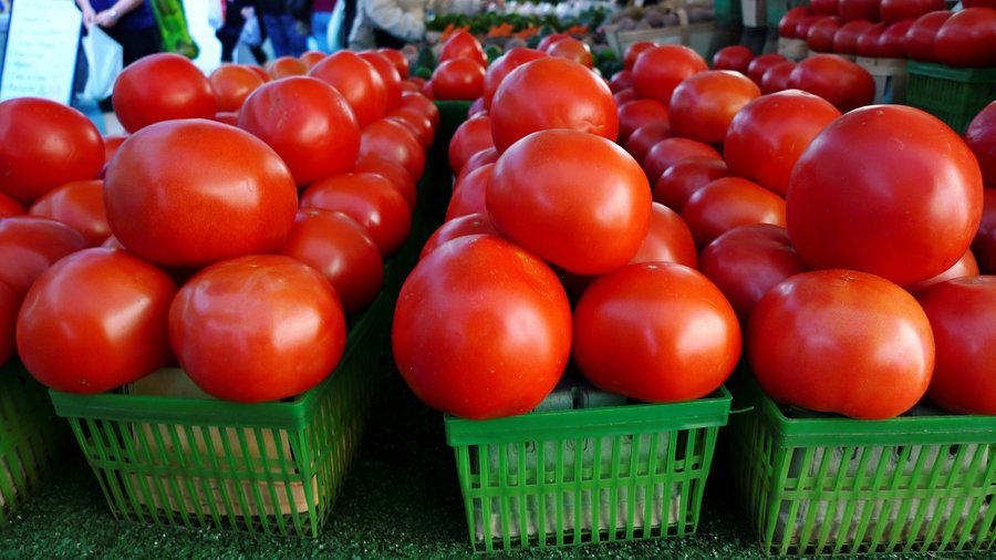 tomatoes