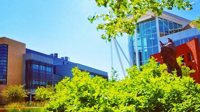 Exclusive: Which Colorado public colleges are ranked best? - Denver ...